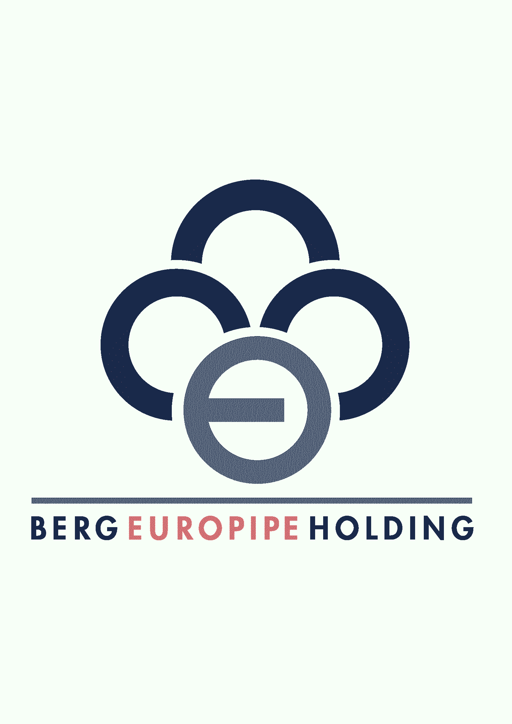 Boosting Borusan Berg Pipe's Sales with Kinetech: a 4-Week CRM ...